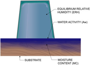 Moisture Content and Water Activity - What Are They?