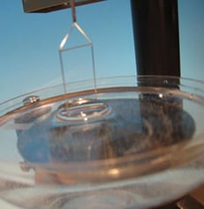Surface Tension - Rings, Bubbles, Drops, and Plates
